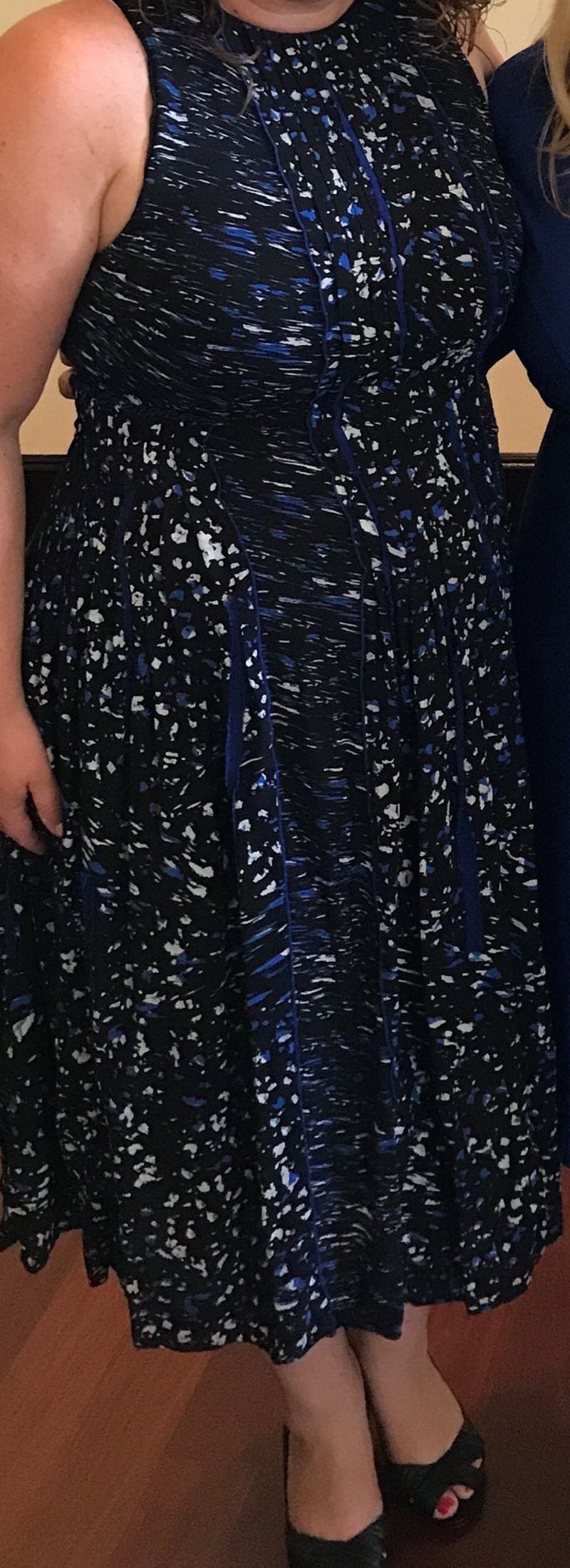Blue Printed Georgette Dress by Proenza Schouler | Rent the Runway