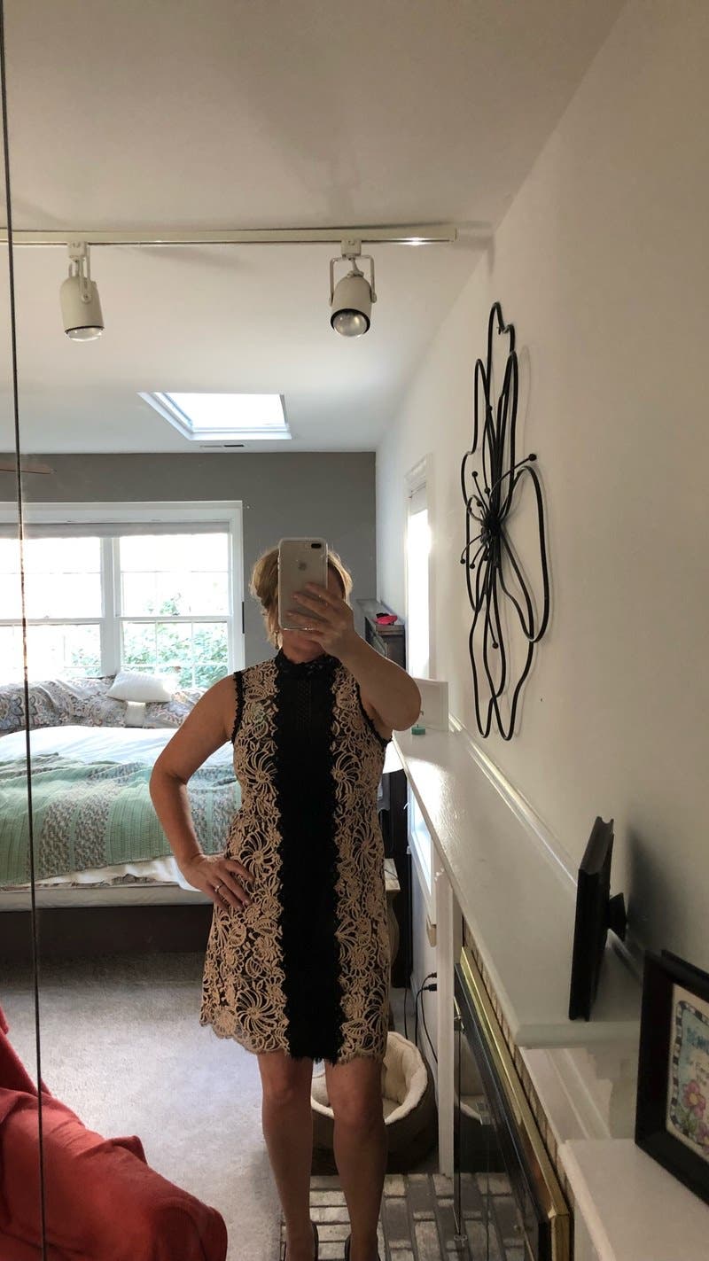 Lace Paramour Dress by Nanette Lepore | Rent the Runway