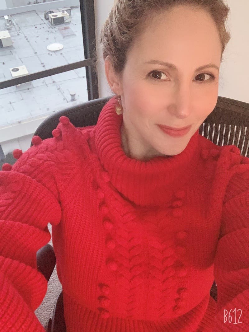 Chrissie Sweater by Temperley London | Rent the Runway