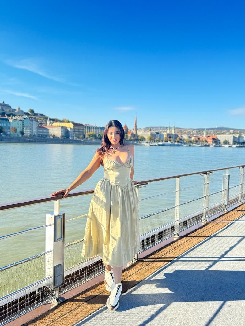 Carmine Dress by Ronny Kobo | Rent the Runway