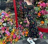 Viona Dress by Borgo de Nor | Rent the Runway