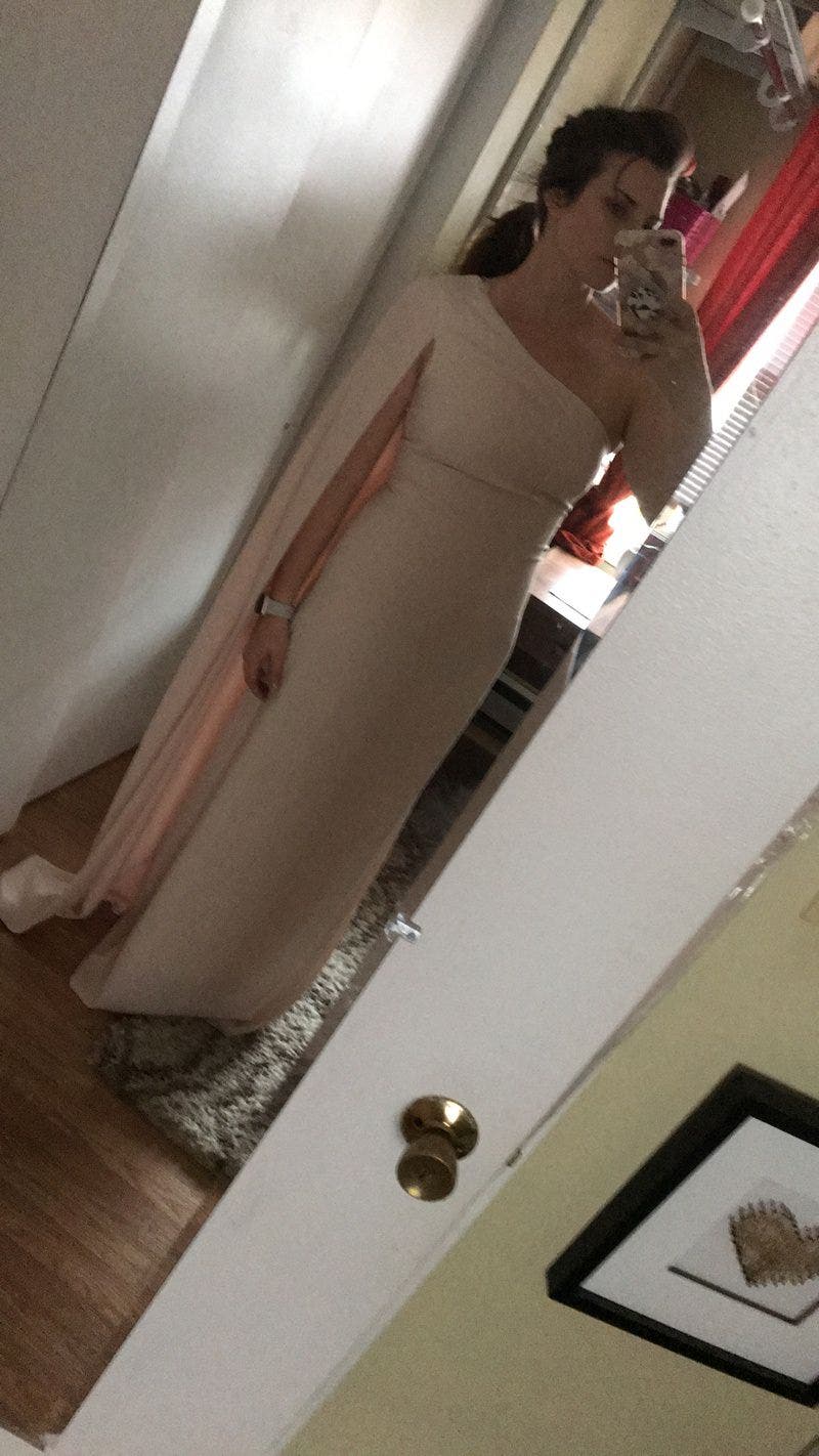 Blush Aria Gown by Jill Jill Stuart | Rent the Runway